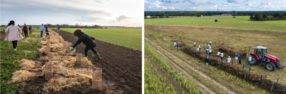 Participez à nos différents chantiers ! | Agrof'ile